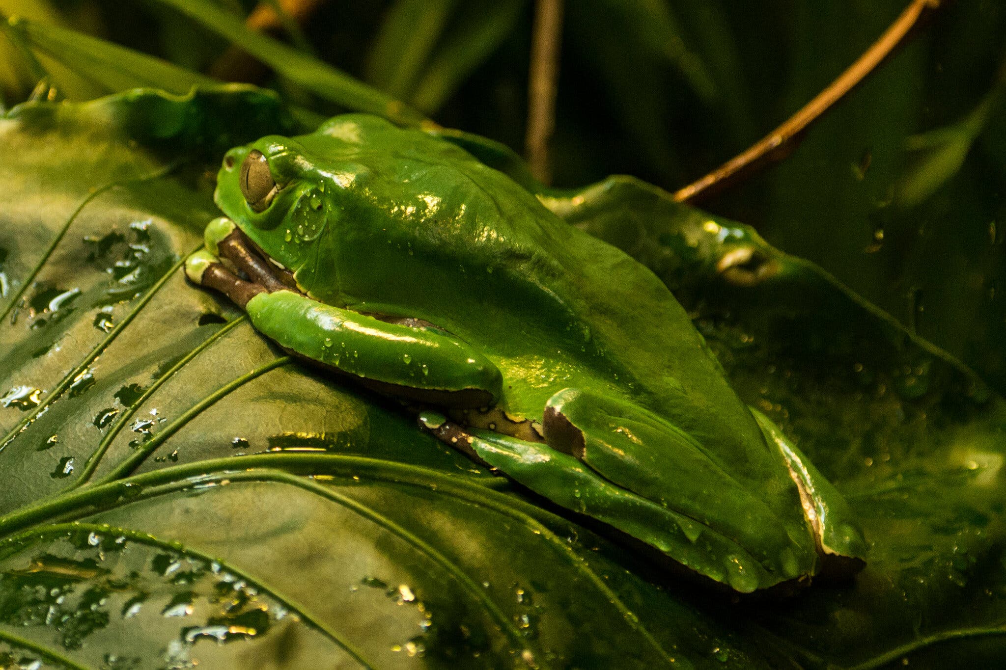 About - Detox With Grace